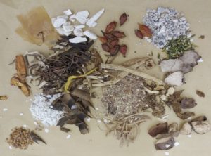 TCM Herbal Formulations | Three Treasures Acupuncture & TCM